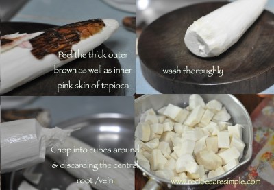 Fish and Tapioca - Kappa Meen Curry