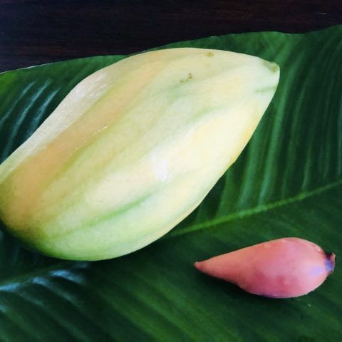 Raw Mango Salad (with Torch Ginger) - Recipes are Simple